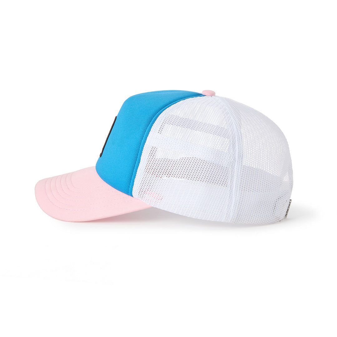 Street Sign Foam Trucker Hat Blue/Pink